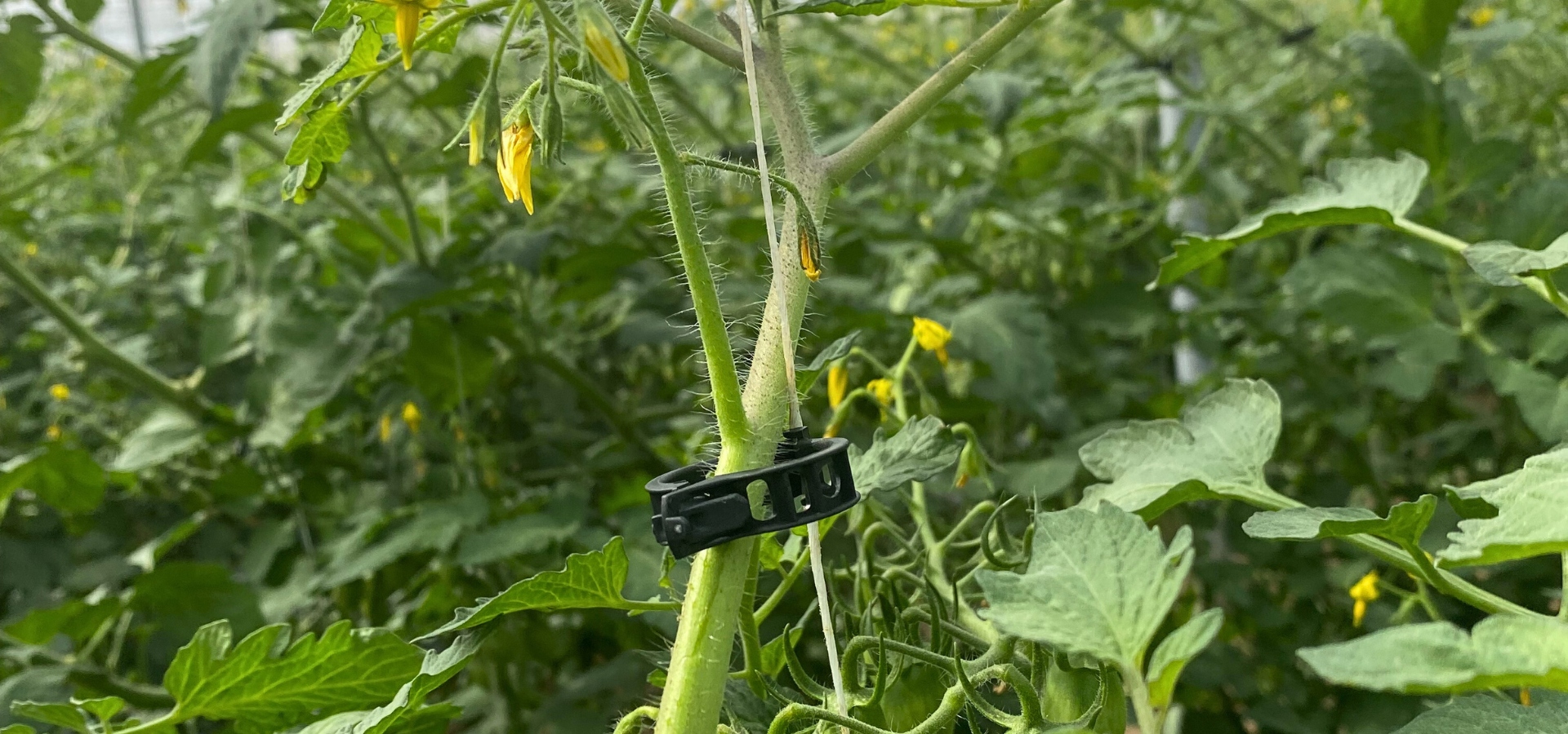 Simonetti - Plastic manufacturer for horticulture